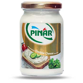 PINAR CHEDDAR CHEESE SPREAD 140GM – IBD PAKISTAN